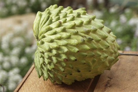 Pin On Agriculture Environment