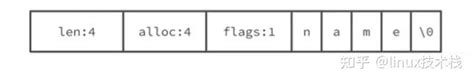 redis 应用 string 数据类型 知乎
