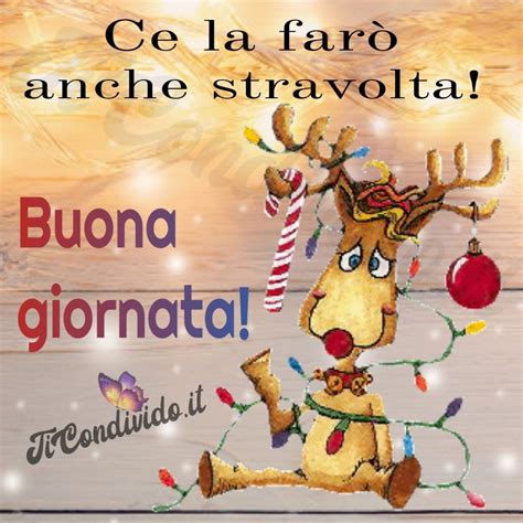 Le più Belle Immagini del Buongiorno Natalizio Buon Natale Seasons