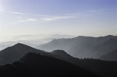 Free Images Landscape Tree Nature Forest Horizon Wilderness