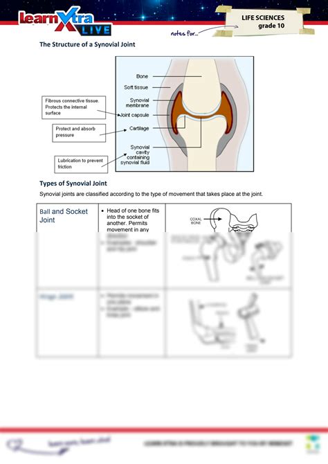 Solution The Difference Between Compact Bone And Spongy Bone Studypool