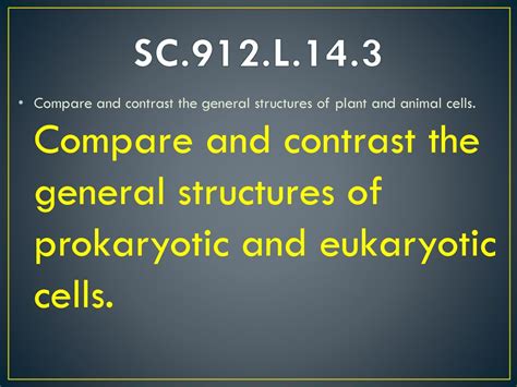 SC 912 L 14 3 Compare And Contrast The General Structures Of Plant And
