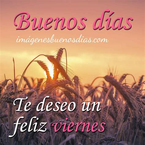 50 Imágenes de Feliz Viernes Imágenes de Buenos Días