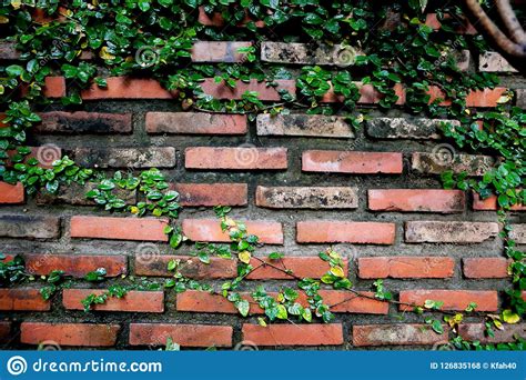 Parede De Tijolo Velha Da Textura Fundo Foto De Stock Imagem De