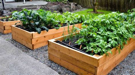 Cajones De Cultivo Cultivar Mi Huerto