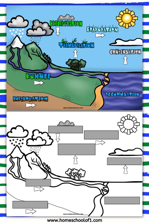 Water Cycle Worksheets 7 Free Printables