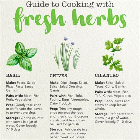 A Guide To Cooking With Fresh Herbs Artofit