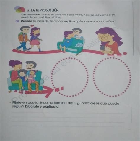 Me Ayudan Con La Tarea De Mi Hermana Brainly Lat
