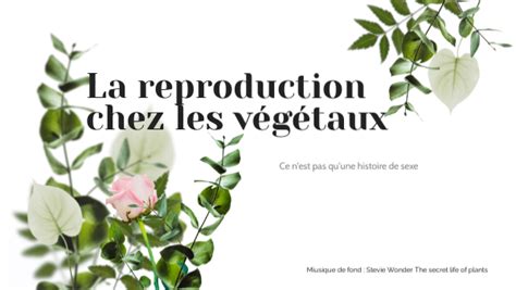 Reproduction des végétaux