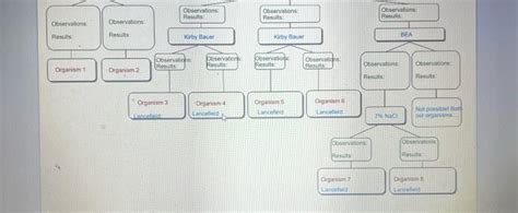 Unknown 2 Gram Cocci Dichotomous KcylFowchart Chegg