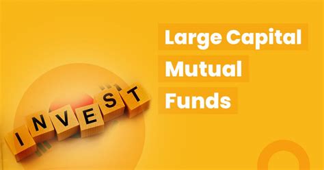 Best Large Cap Mutual Fund To Invest In 2022