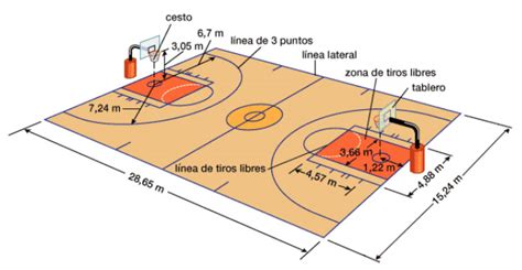 Basket La Cancha De Baloncesto