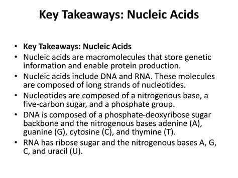 SOLUTION Nucleic Acid Nucleotide Studypool