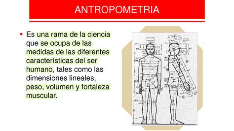 SOLUTION Que es Antropometría PPT Studypool