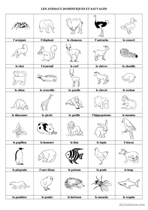 les animaux sauvages et domestiques Français FLE fiches pedagogiques