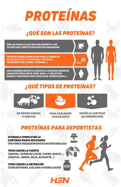 Proteínas Tipos Propiedades y Efectos La GUÍA MÁS COMPLETA