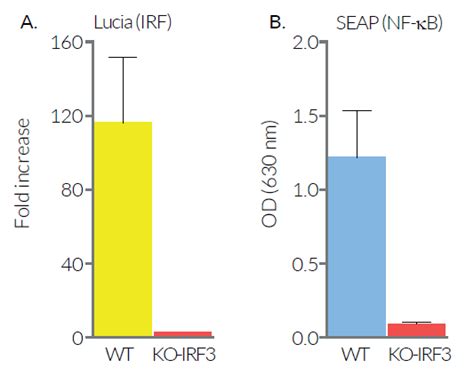 THP1 Dual KO IRF3 cells NF κB IFN reporter monocytes InvivoGen