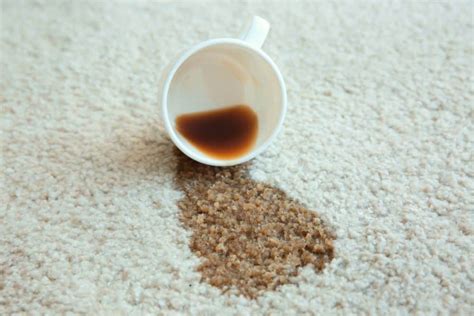 How To Get Coffee Stains Out Of Carpet 7 Step Easy Guide