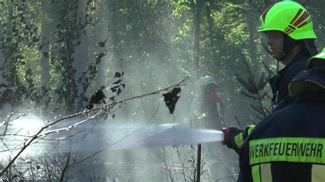 Waldbrand im Kreis Haßberge Feuerwehr kämpft mit Großaufgebot gegen
