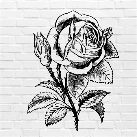 ROSE SVG Bundle Rose Clipart Rose Svg Designs Flower Svg Bouquet Svg