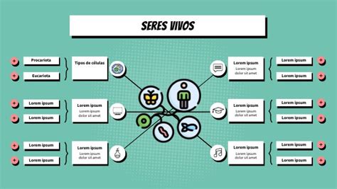 MAPA MENTAL SERES VIVOS