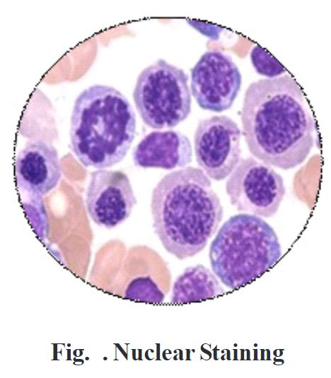 BIOLOGY EASE Learn Biology With Ease