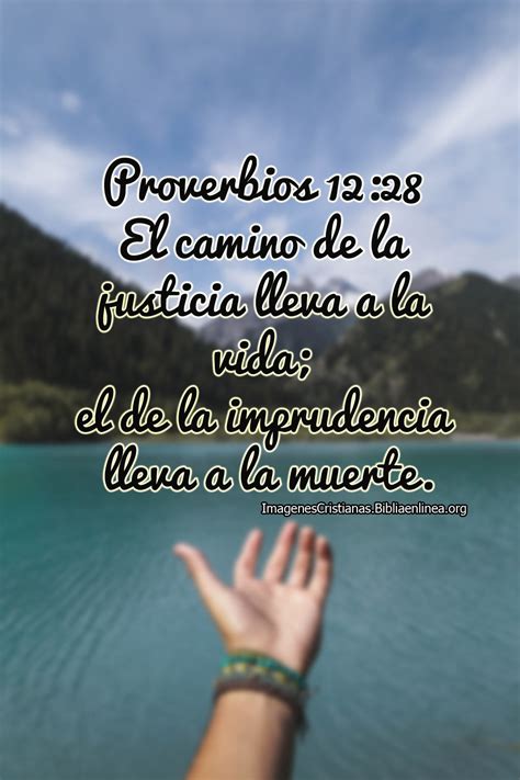 Proverbios 12 28 El Camino De La Justicia Lleva A La Vida Imagenes