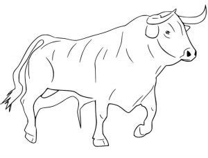 57 Desenhos De Touros Para Imprimir E Colorir Pintar