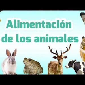 Adivina adivinador Trivias Juego educativo Biología Mobbyt