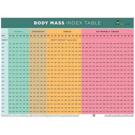 Buy Nutrition Education Store Bmi Poster Bmi Chart Poster Body Mass