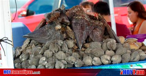 Hoy Tamaulipas Tamaulipas Inicia Coepris Campania De Revision A