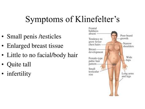 Ppt Chromosome Theory Of Inheritance Powerpoint Presentation Free