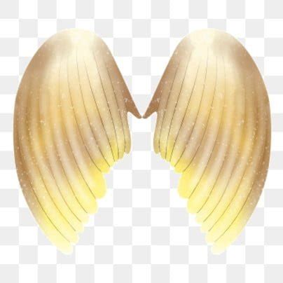Asas De Anjo De Cor Fantasia PNG Sonhe Asa O Anjo Imagem PNG E PSD