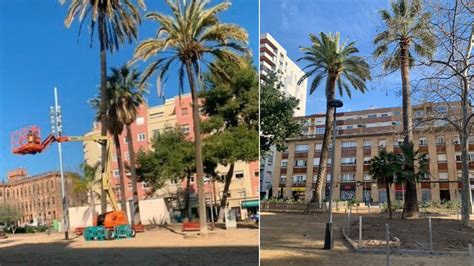 Mar Educar al corazón para despertar la grandeza on Twitter RT
