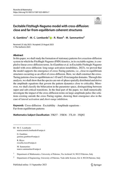 pdf excitable fitzhugh nagumo model with cross diffusion close and far from equilibrium