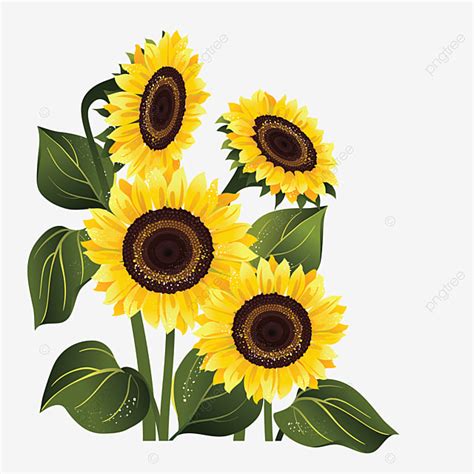 Total 51 Imagen Girasol Vectorizado Gratis Abzlocal Mx