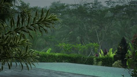 Tropical Rain Sound For Sleep Relaxation Help Sleep Study