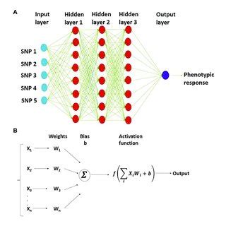Representation Of Multilayer Perceptron MLP With Three Hidden