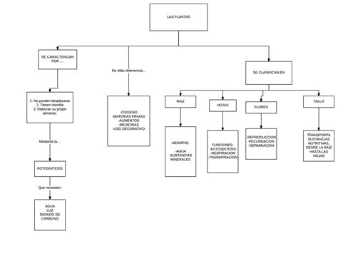 Pastor Tragedia Tranquilidad Respiracion En Las Plantas Mapa Conceptual