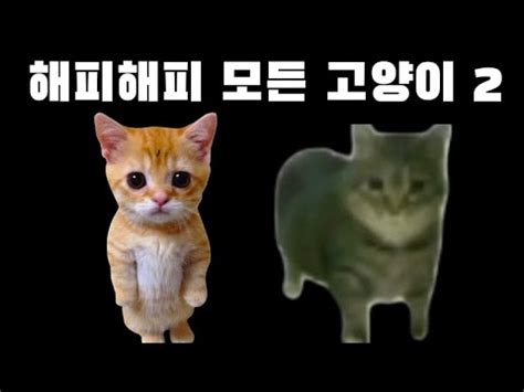 해피캣 밈에 나오는 모든 고양이들 2 YouTube