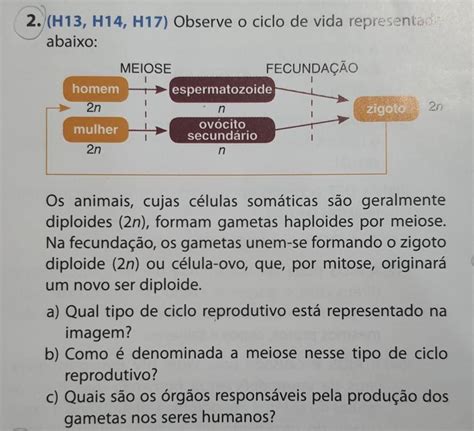 2 H13 H14 H17 Observe O Ciclo De Vida Representado Abaixo Homem
