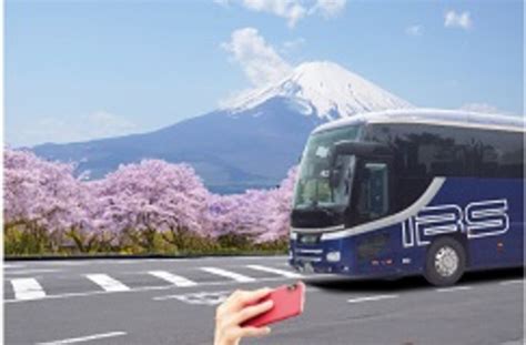 株式会社アイビーエスの写真一覧 じゃらんnet