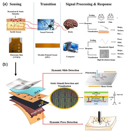 电子科技大学向勇教授团队Chem Eng J 柔性可视化电子皮肤 中国聚合物网科教新闻