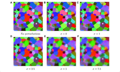 two dimensional slices through the simulated image data i sim download scientific diagram