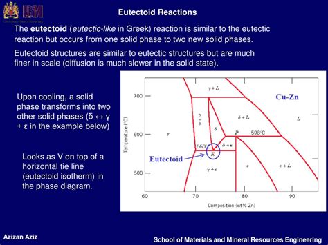 Binary Equilibrium Phase Diagram Eutectic Point Sketch The B