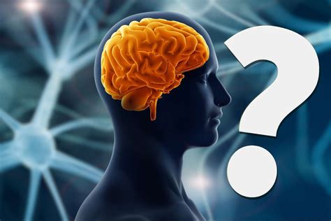 La Conciencia La Crean Las Neuronas De Nuestro Cerebro El Fallo Por