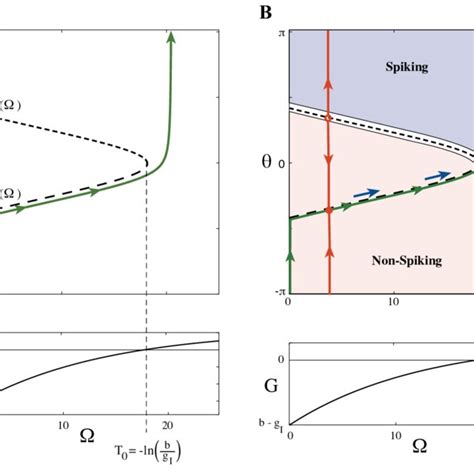 the phase response curve limit cycle θ l is green its image˜Ωimage˜ download scientific