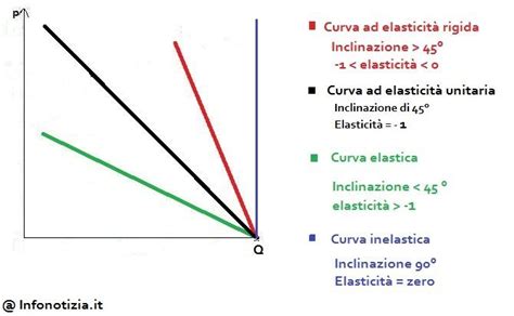 L elasticità della domanda rispetto al prezzo Microeconomia