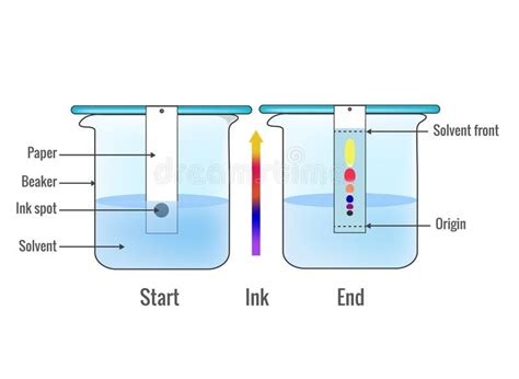 Chromatography Introduction Definition Types Uses