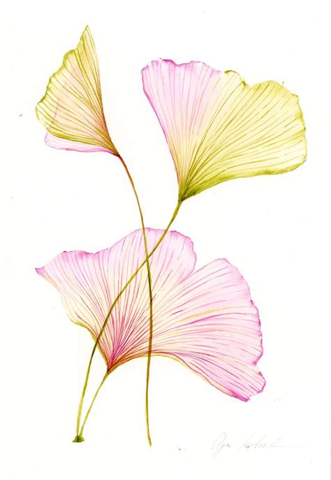 Ginkgo Biloba In Pink Watercolour By Olga Koelsch Artfinder